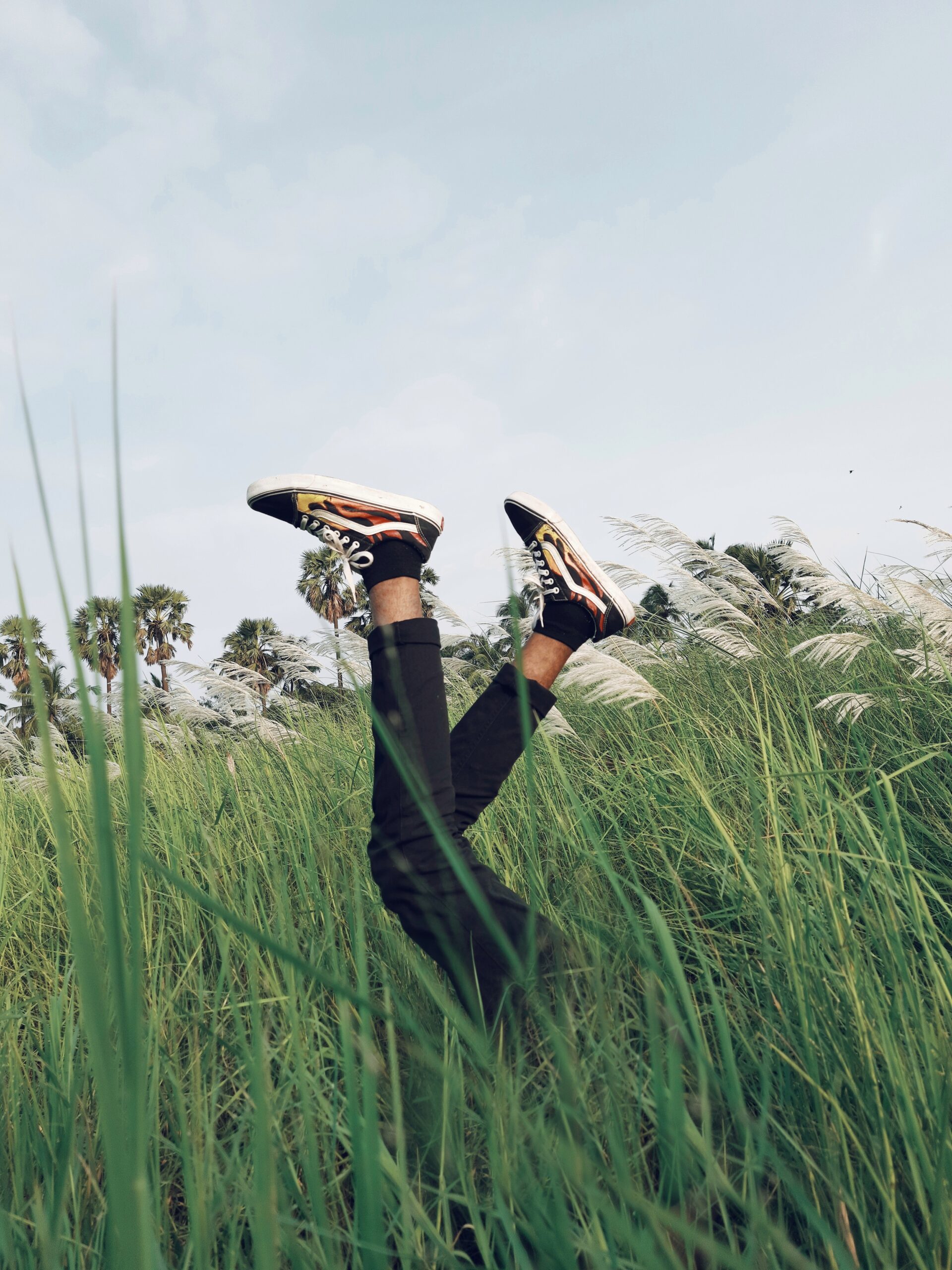 A New Summer Series! Send us your questions | buddhability